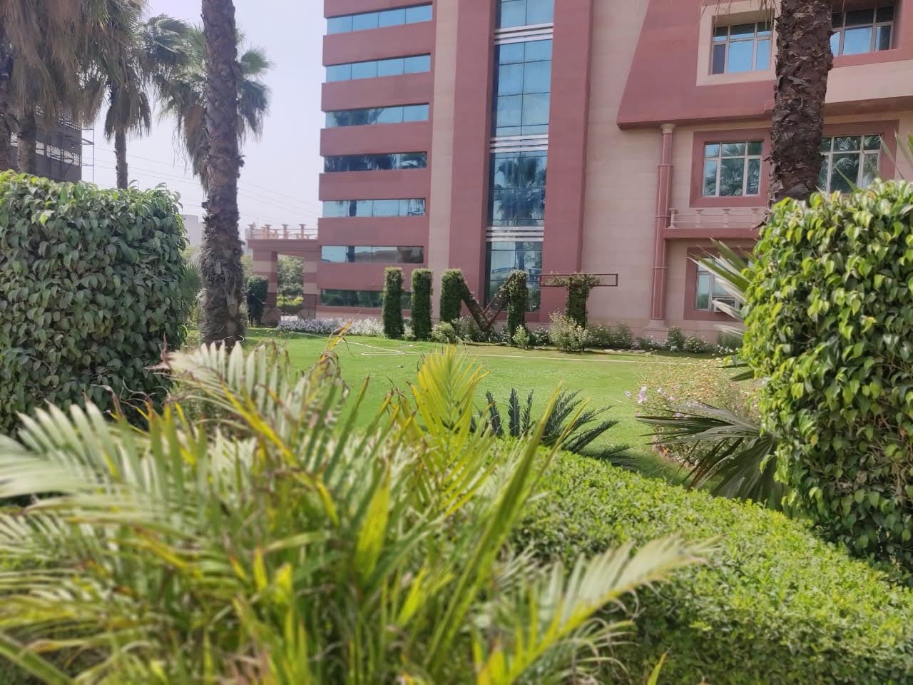 College with Highest Placement Record in Noida